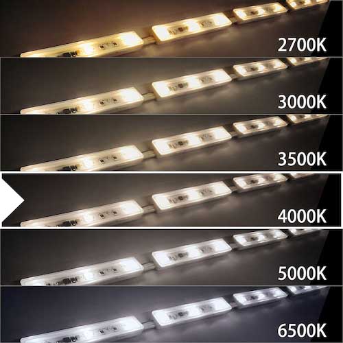 トライト LEDモジュール Viewmo24 4000K L5000 TLVM+402-33P-050-WWCの通販｜現場市場